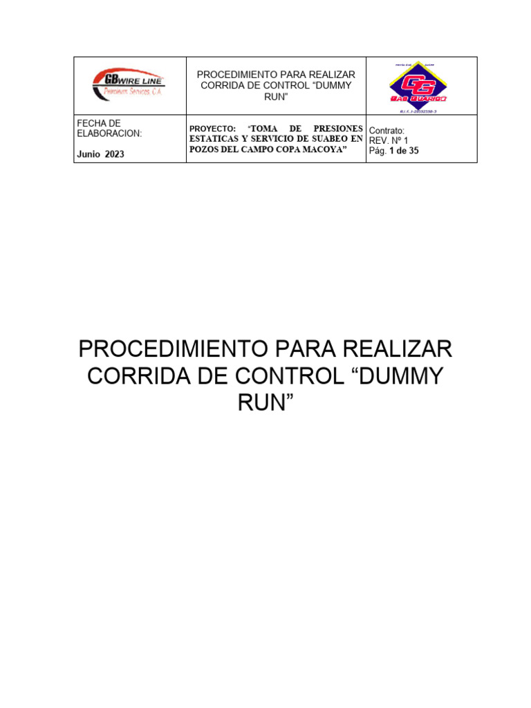 PTS-002 de Corrida de Control "DUMMY RUN" (002 REV 01) | PDF | Entorno natural | Higiene Ocupacional