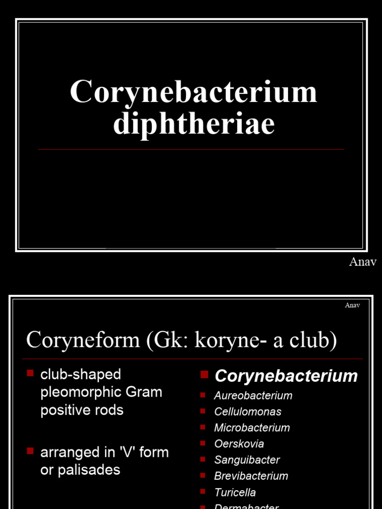 Corynebacterium Diphtheriae - Mishra - Microbiology | PDF