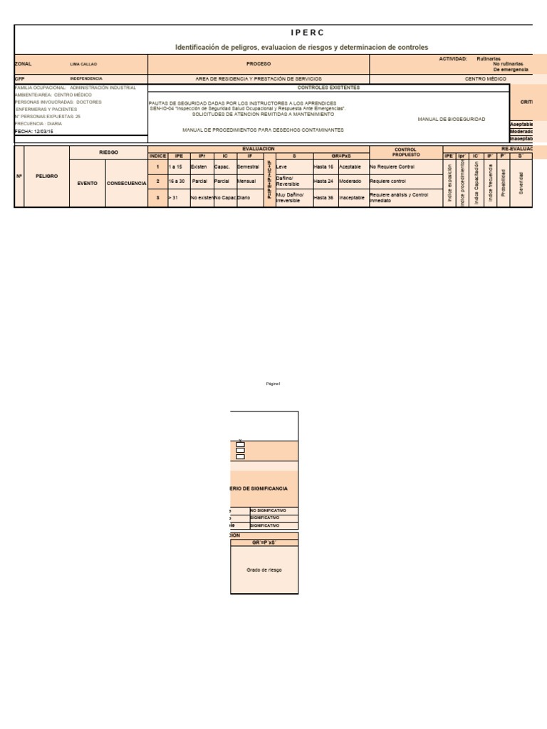 IPER Formato | PDF | Seguridad y salud ocupacional | Evaluación de riesgos