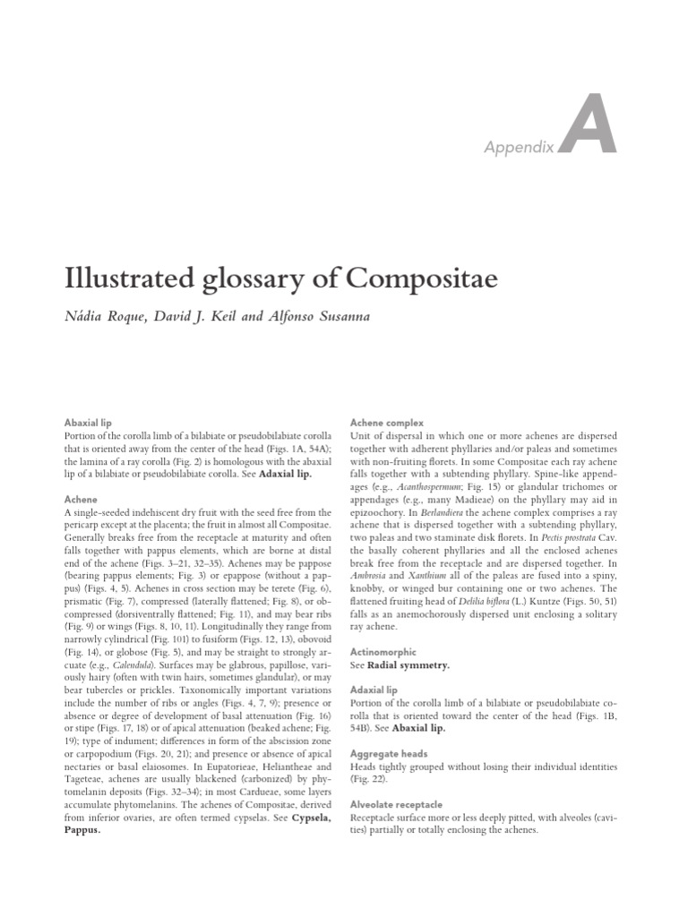 Ilustrated Glossary of Compositae 2009 | Download Free PDF | Flowers ...