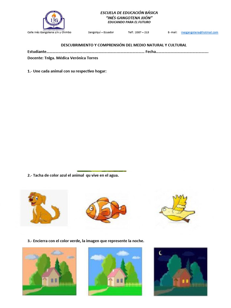 Pruebas Segundo CCNN y Sociales | PDF