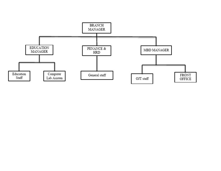 Branch Manager Organizational Chart | PDF