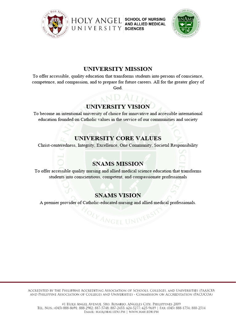 Mission Vision | PDF