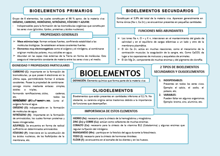 Mapa Conceptual de Los Bioelementos 3 | PDF | Biomoléculas | Enlace covalente
