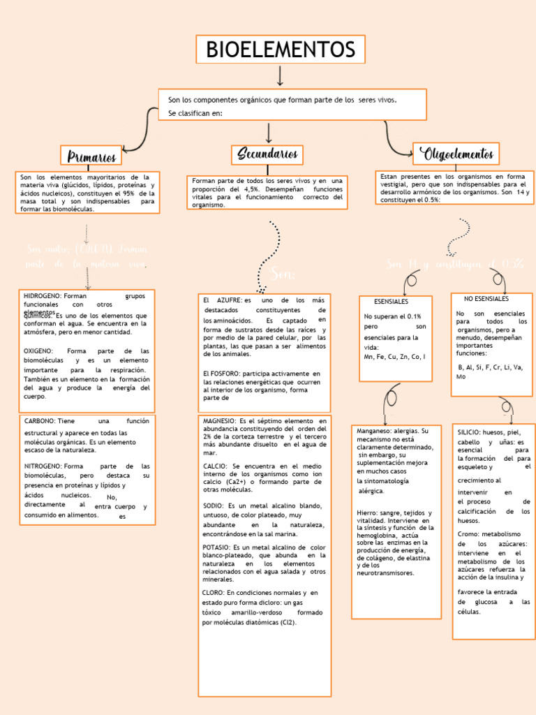 Mapa Conceptual de Los Bioelementos 4 | PDF