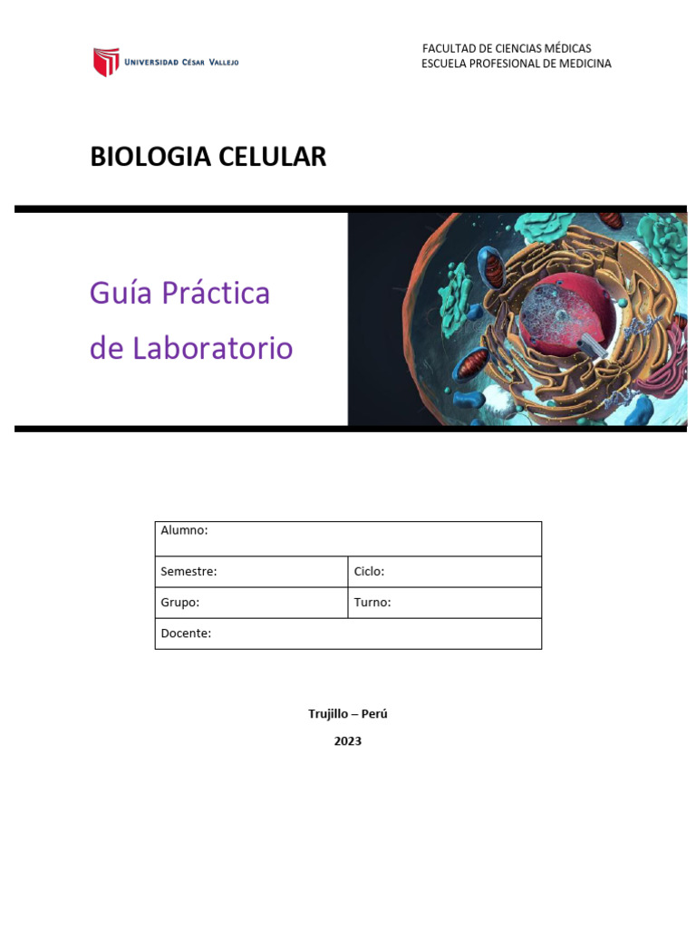 GUIA PRÁCTICA LAB. SEM 02. RECONOCIMIENTO DE MACROMOLECULAS | PDF | Biomoléculas | Química