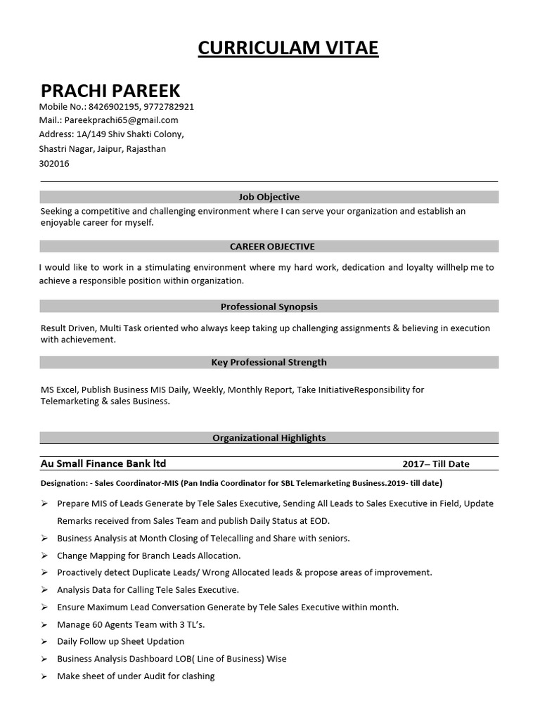 Curriculam Vitae Prachi Pareek | PDF