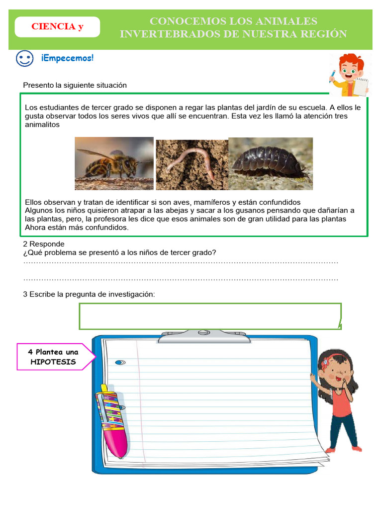 D2 A3 FICHA CT. Conocemos Los Animales Invertebrados de Nuestra Región ...