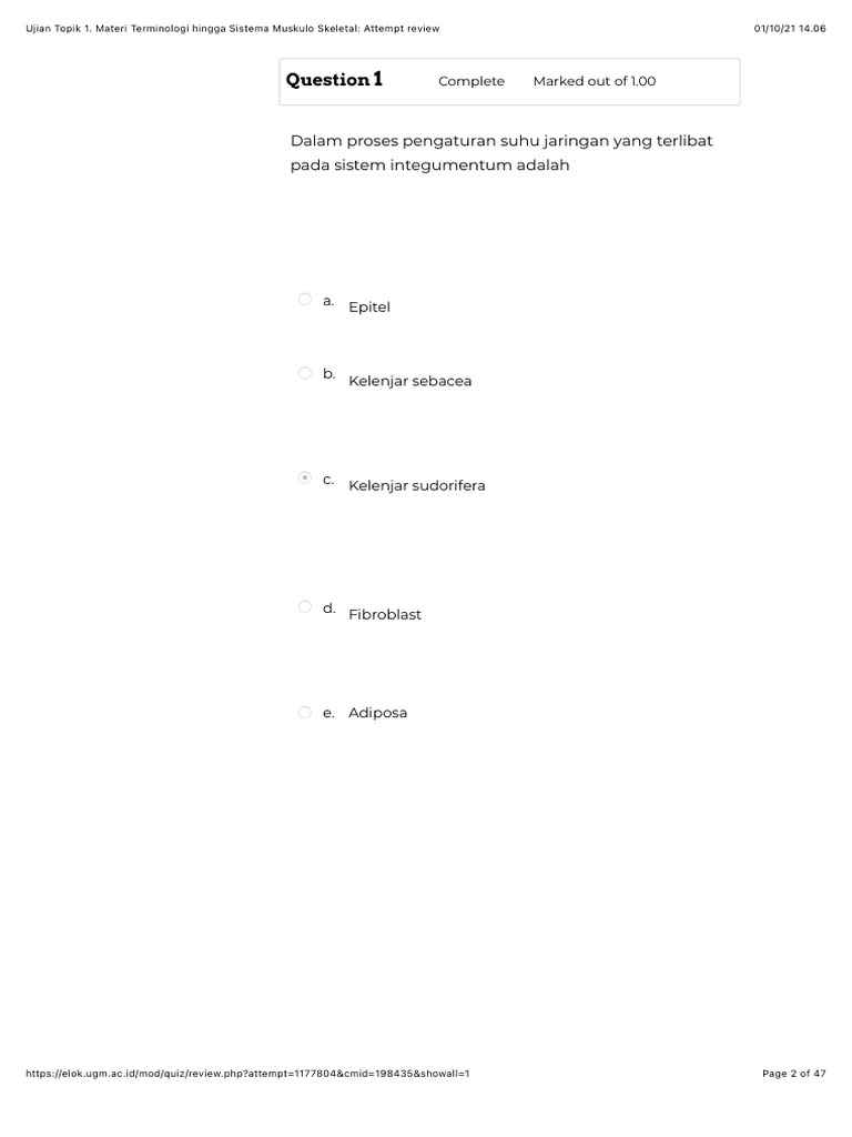 Occlusal - Utop 3.1 Sem 1 | PDF