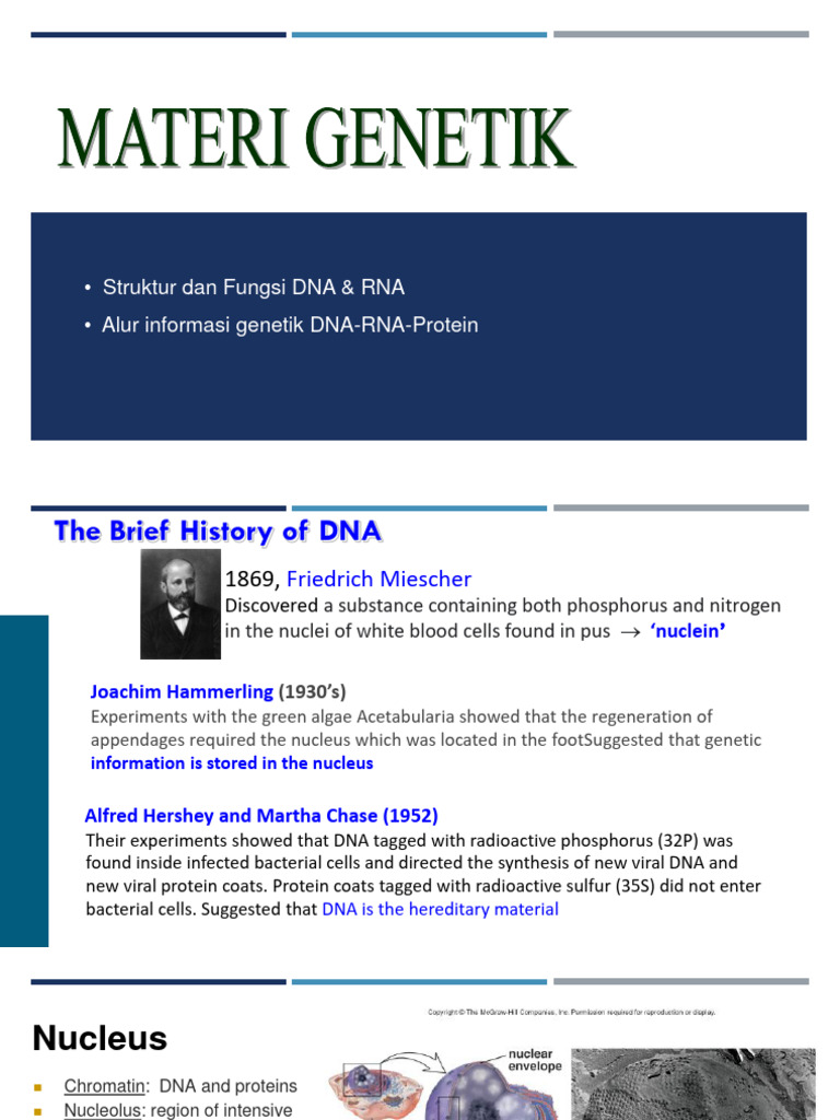 Materi Genetik | PDF | Dna | Rna
