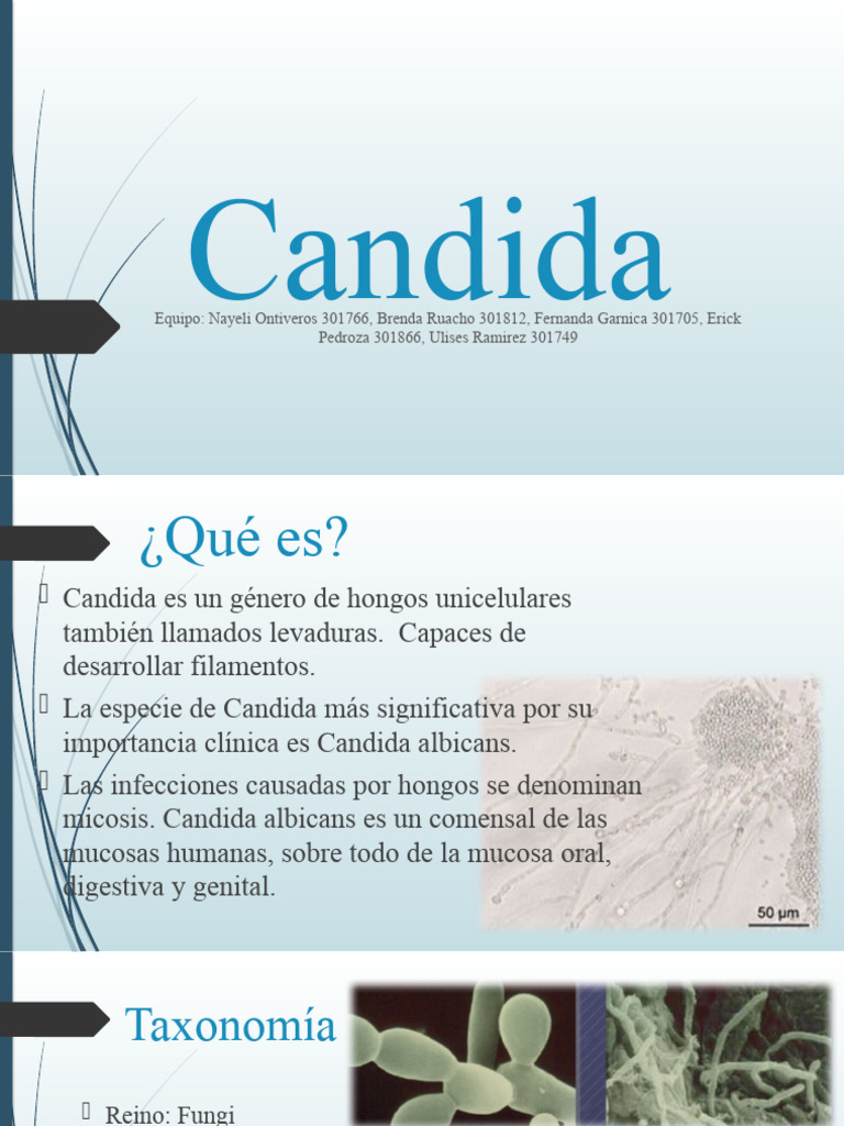 Candida | PDF