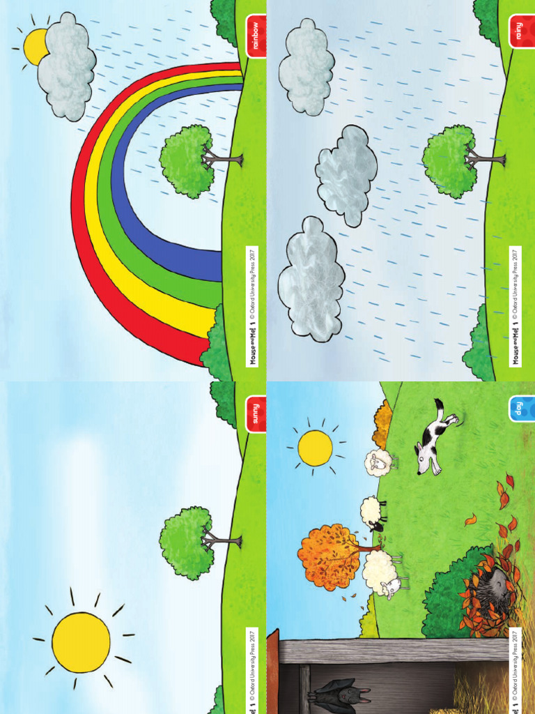 Mam Level 1 Smart Flashcards | PDF