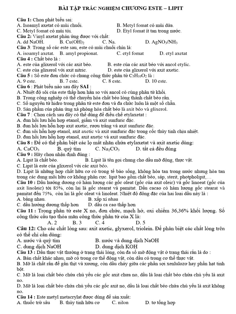 Bai Tap Estelipit | PDF