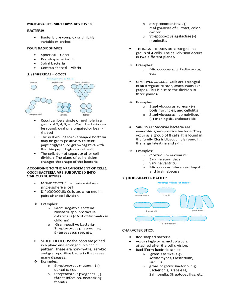 Microbio Lec Midterms Reviewer | PDF | Metabolism | Bacteria