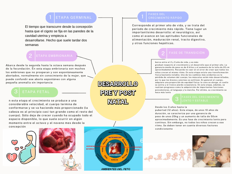Desarrollo Pre y Post Natal | Descargar gratis PDF | Embrión | Medicina ... Desarrollo Pre y Post Natal | Descargar gratis PDF | Embrión | Medicina ...