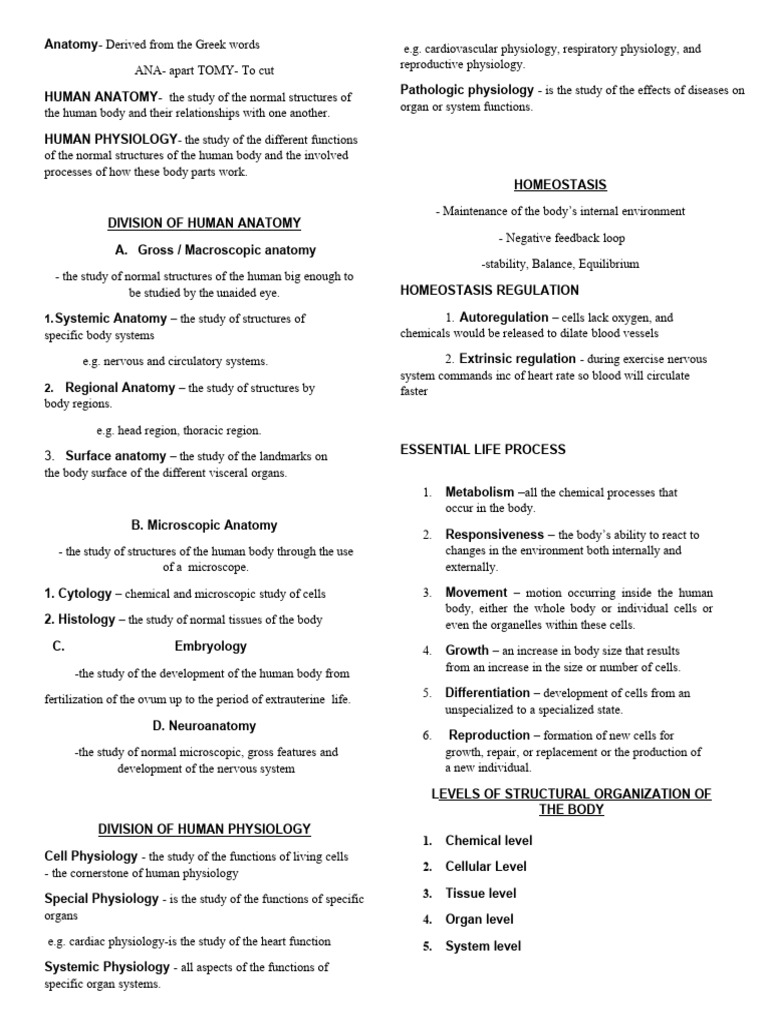 ANAPHY Prelim Reviewer | PDF