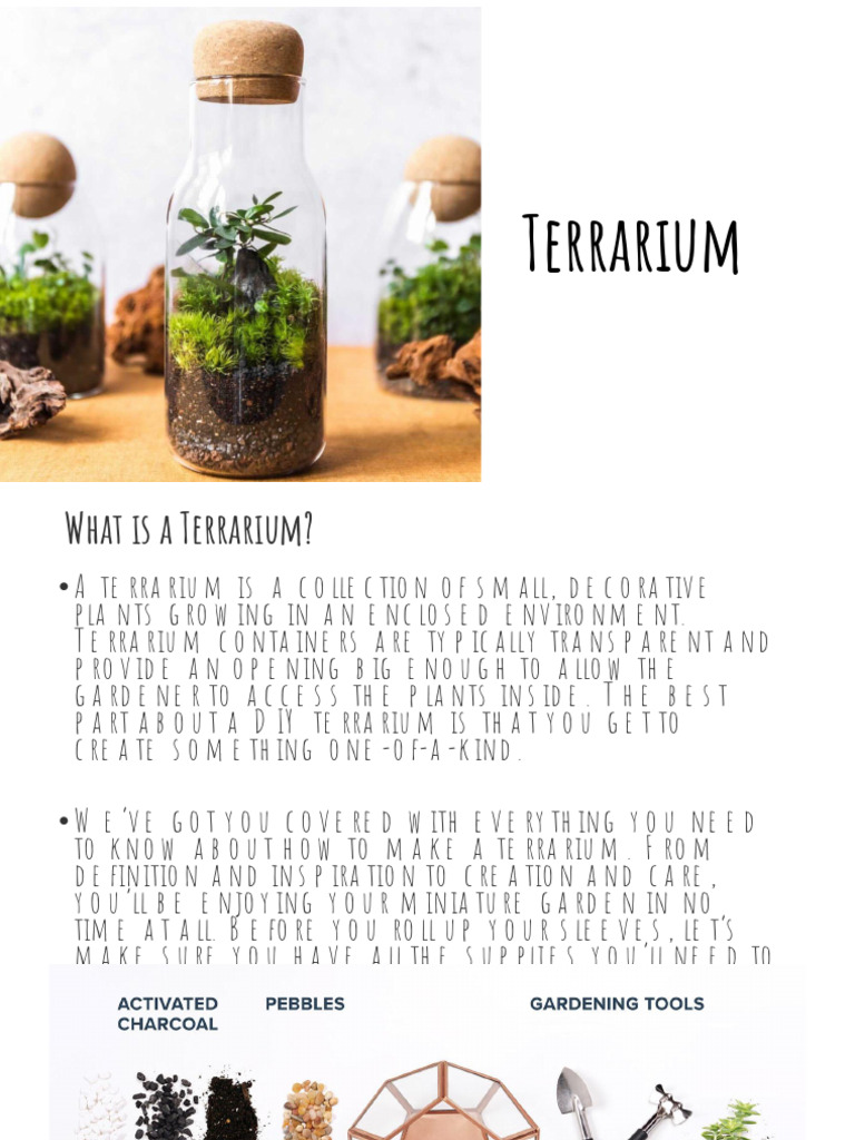 Terrarium | PDF
