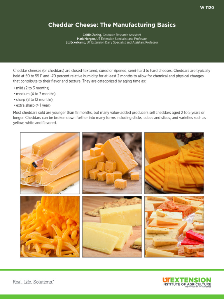 Cheddar Cheese Process | PDF | Cheese | Milk