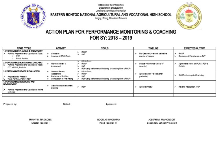 Action Plan For Mentoring & Coaching | PDF