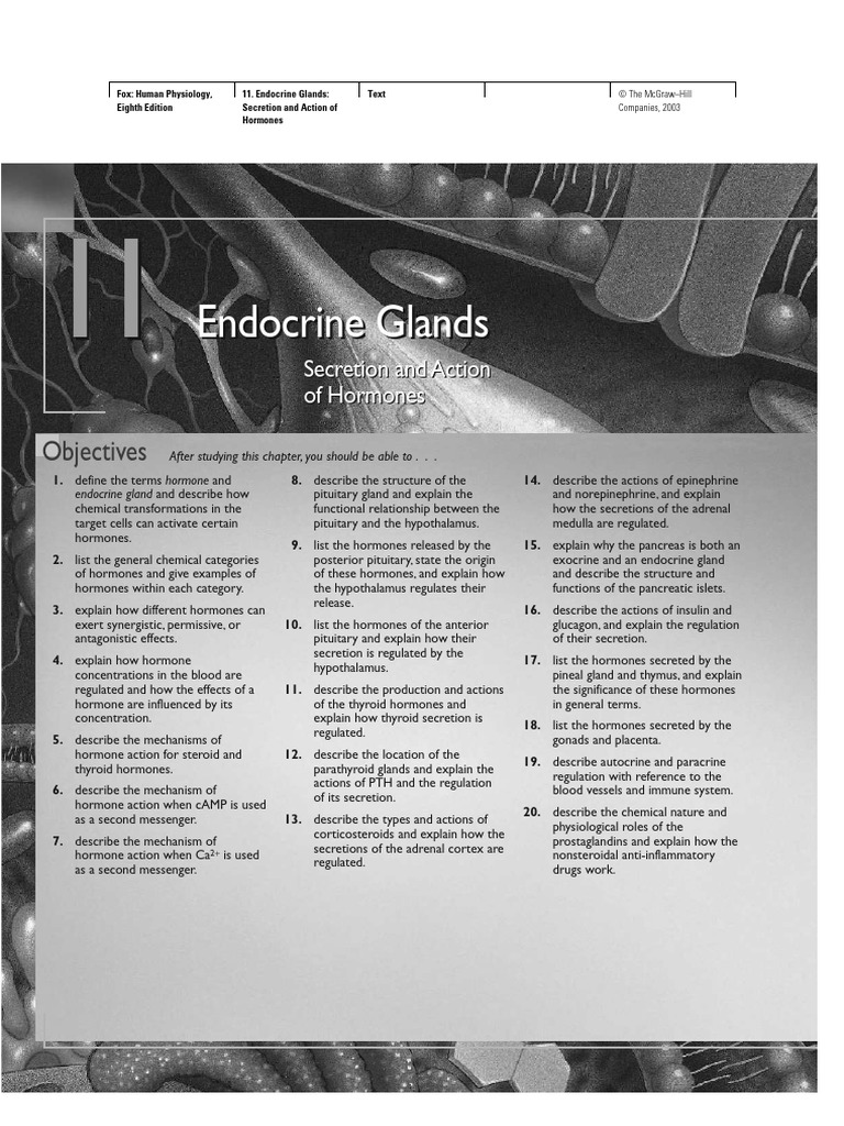Fox Human Physiology Steroid Hormones - Compressed | PDF