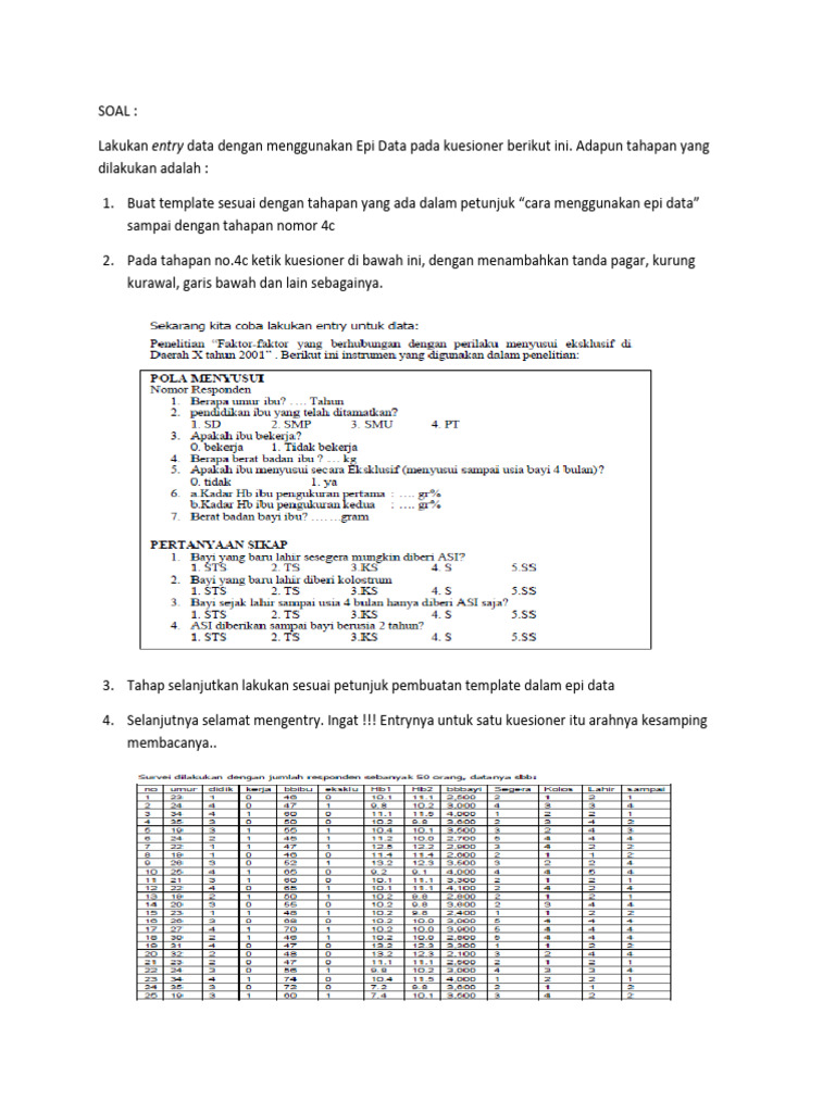 Soal Entry Data Epi Data Pdf