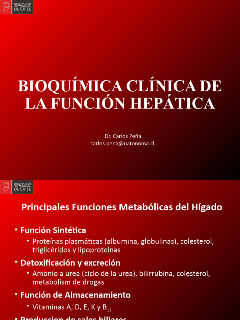 09-Bioquimica Clinica de La Función Hepática | PDF | Transaminasa ...