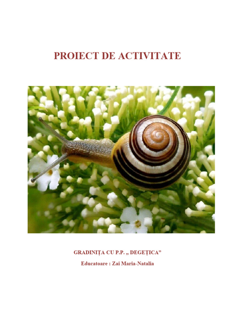 Melcul Proiect de Activitate Zai Maria | PDF