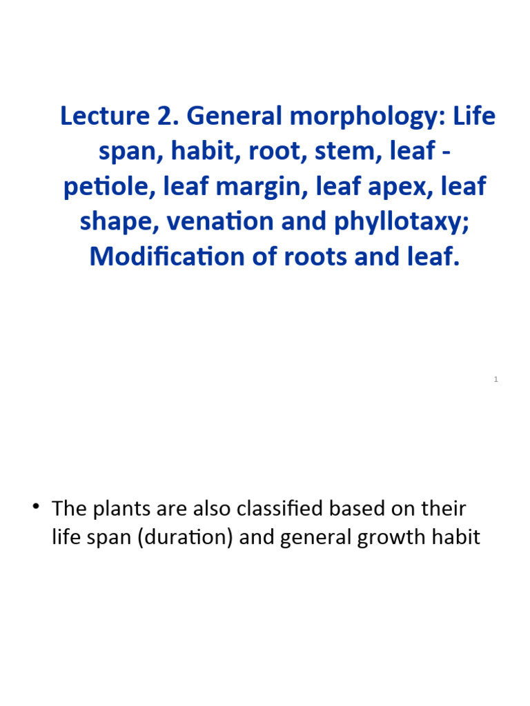 Plant Morphology and Classification Overview | PDF | Leaf | Root
