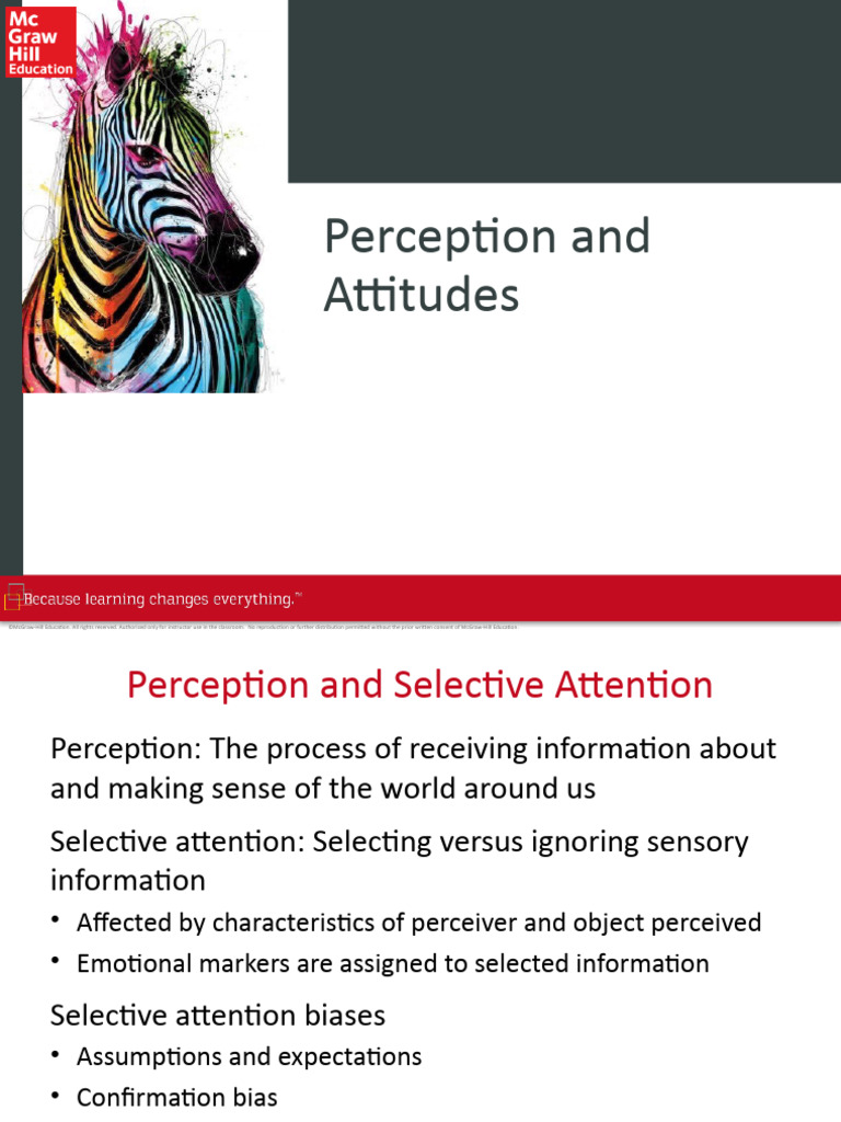 Perception and Attitudes | PDF | Perception | Stereotypes
