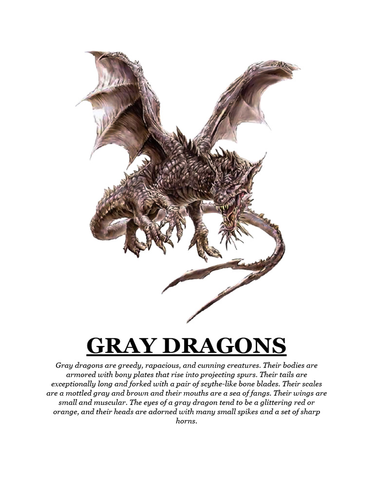 Gray Dragons | PDF