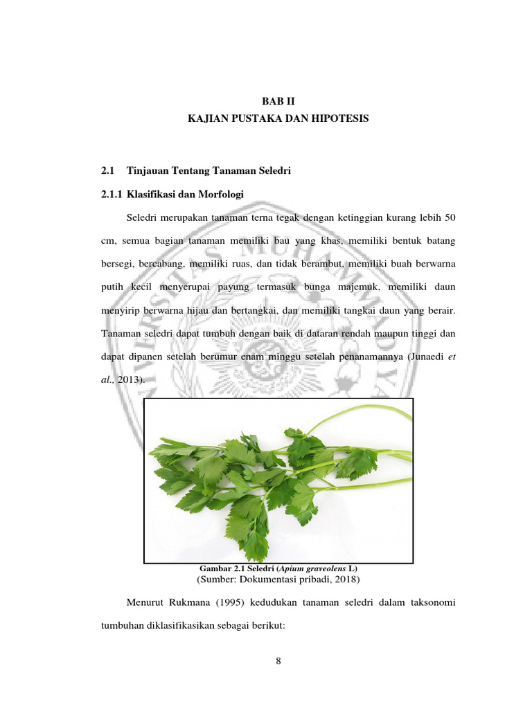Modul LCCM 2022 SMP MTs | PDF | Sains & Matematika