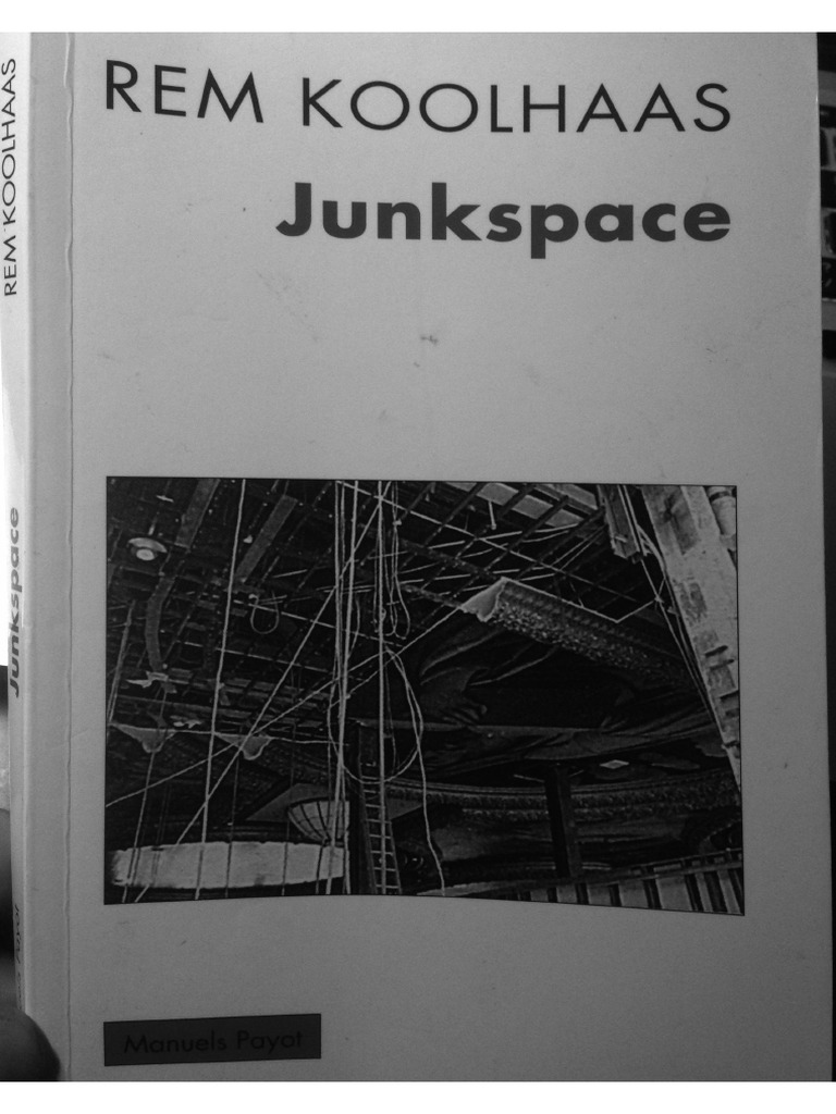 Population. Junkspace. Rem Koolhaas | PDF