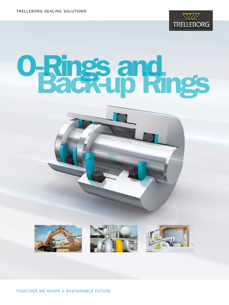 Trelleborg o Ring GB en | PDF | Supply Chain Management | Google Play
