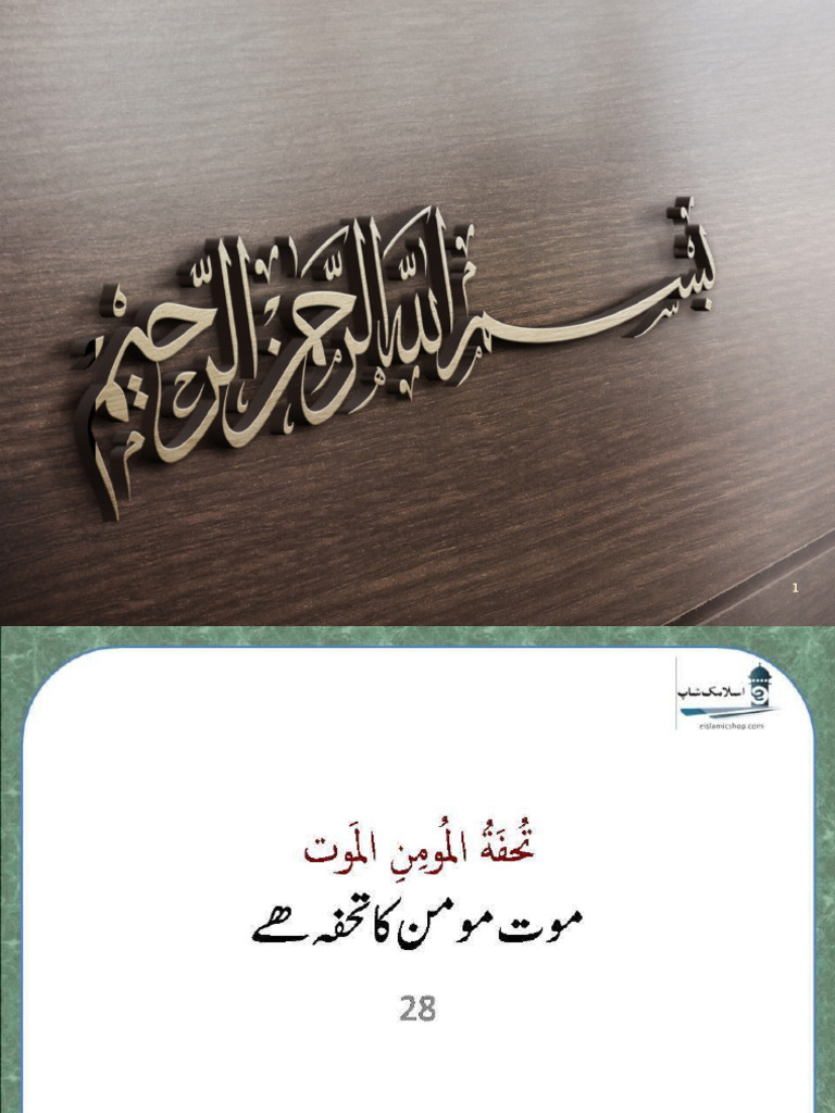 Volka Food Presentation | PDF | Packaging And Labeling | Logistics