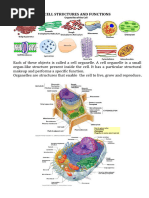 Cell Rap Lyrics | PDF | Cell (Biology) | Cytoplasm