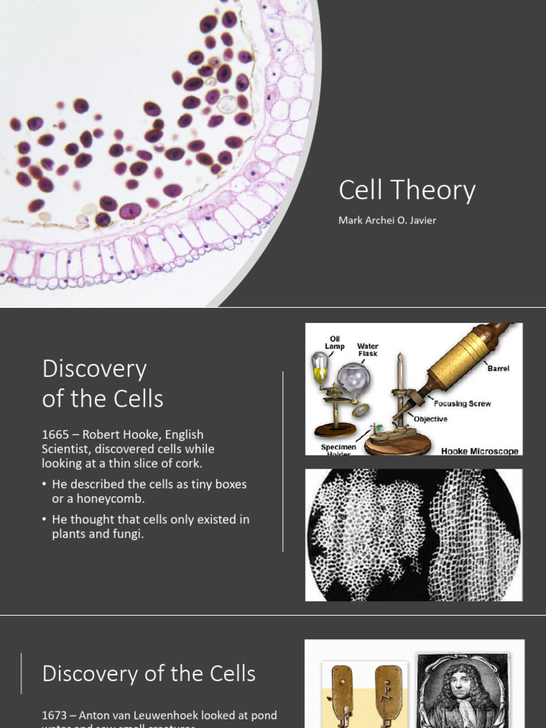 Cell Theory | PDF