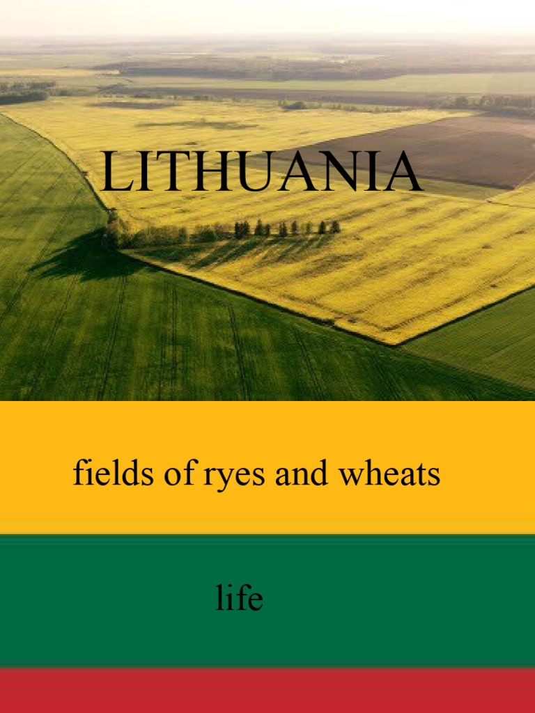 Lietuva Geras2 | PDF | Christmas Eve | Christmas
