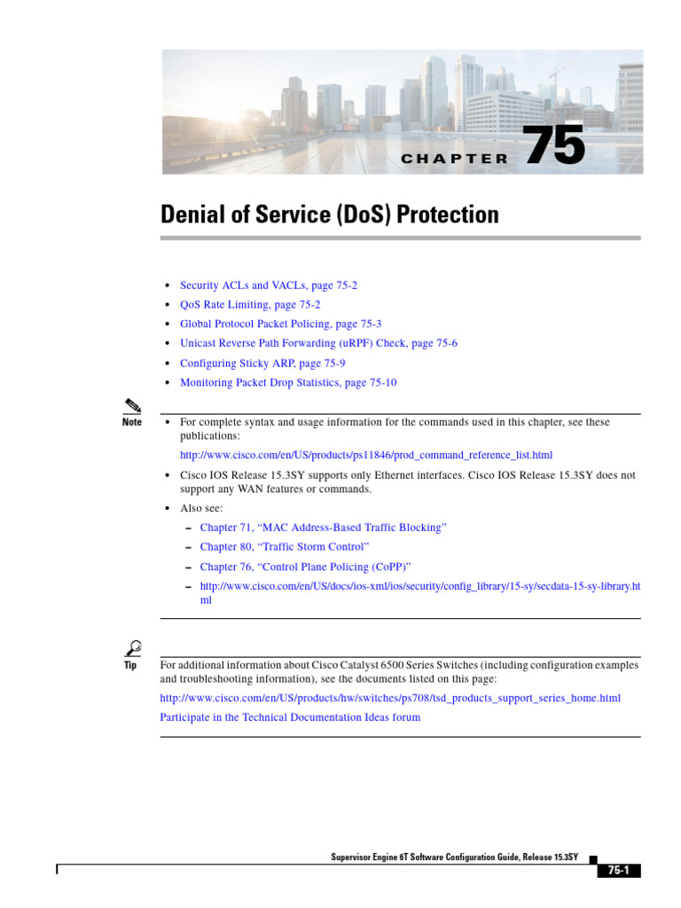 Denial of Service | PDF | Ip Address | Computing
