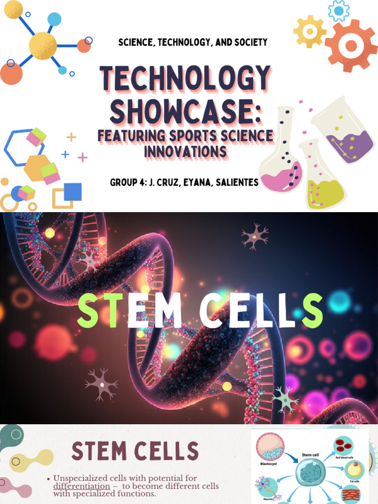 Group4 Stem Cells | PDF | Stem Cell | Cell Therapy