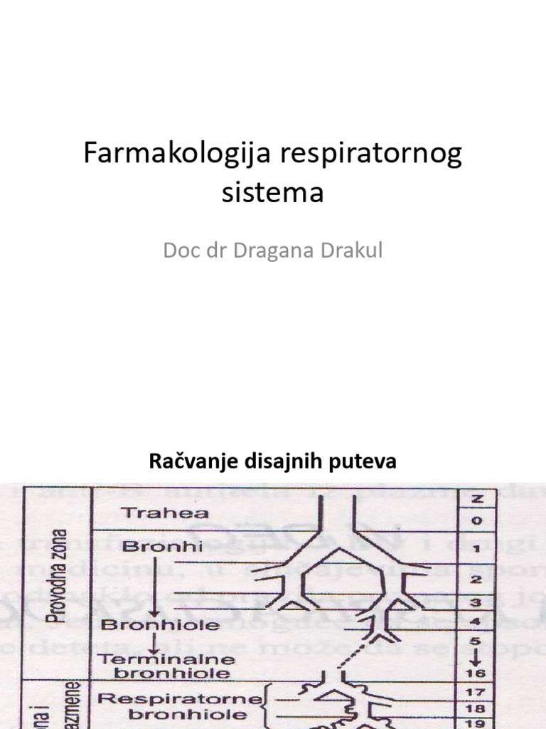 FDGDFG | PDF