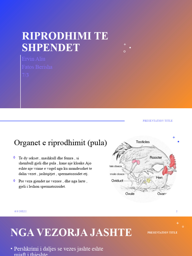 Shpendet | PDF