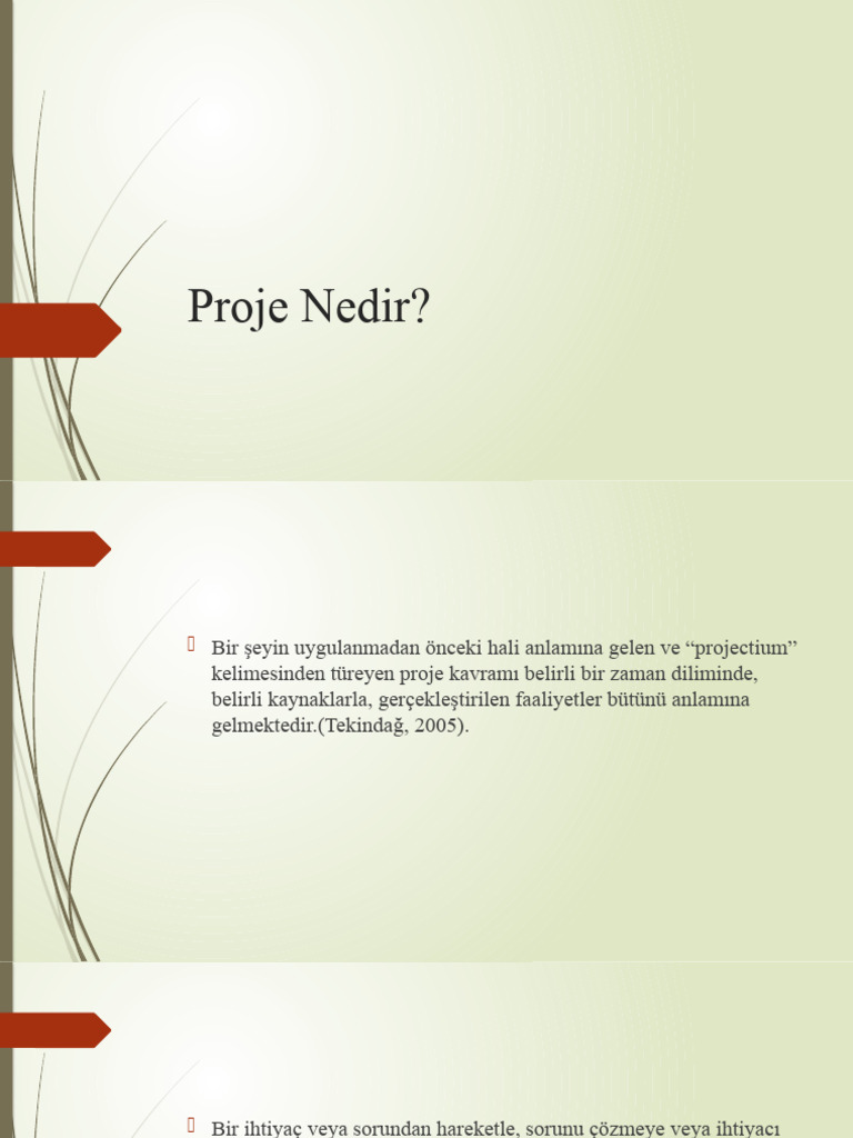 Proje Nedir | PDF