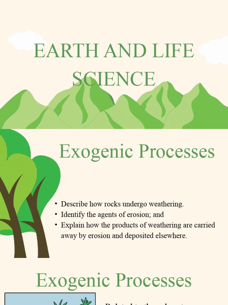 3 Exogenic Processes | PDF | Weathering | Rock (Geology)