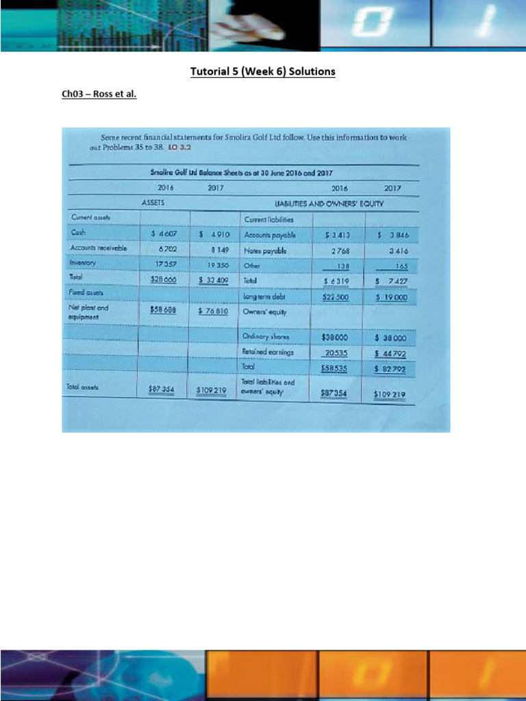 Tutorial 5 Solutions | PDF | Return On Equity | Revenue