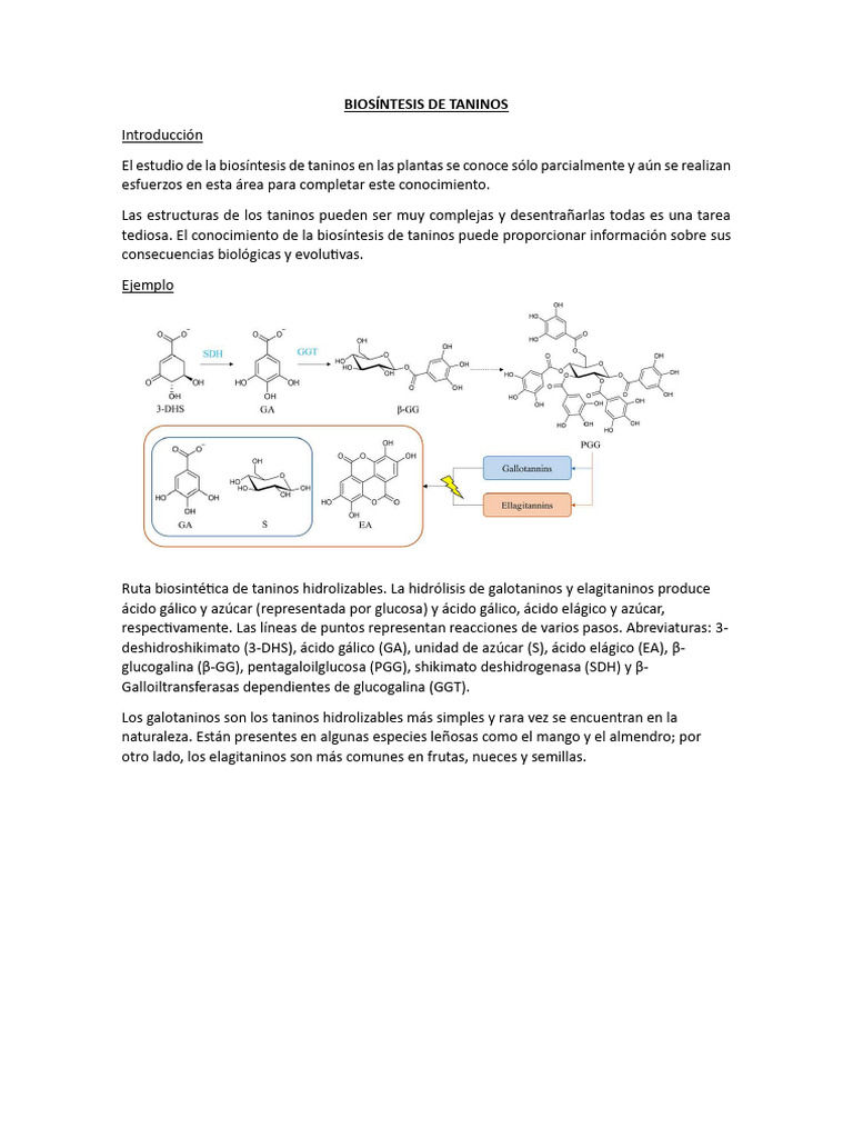 Biosíntesis de Taninos en Plantas | PDF | Cocina, comidas y vino ...