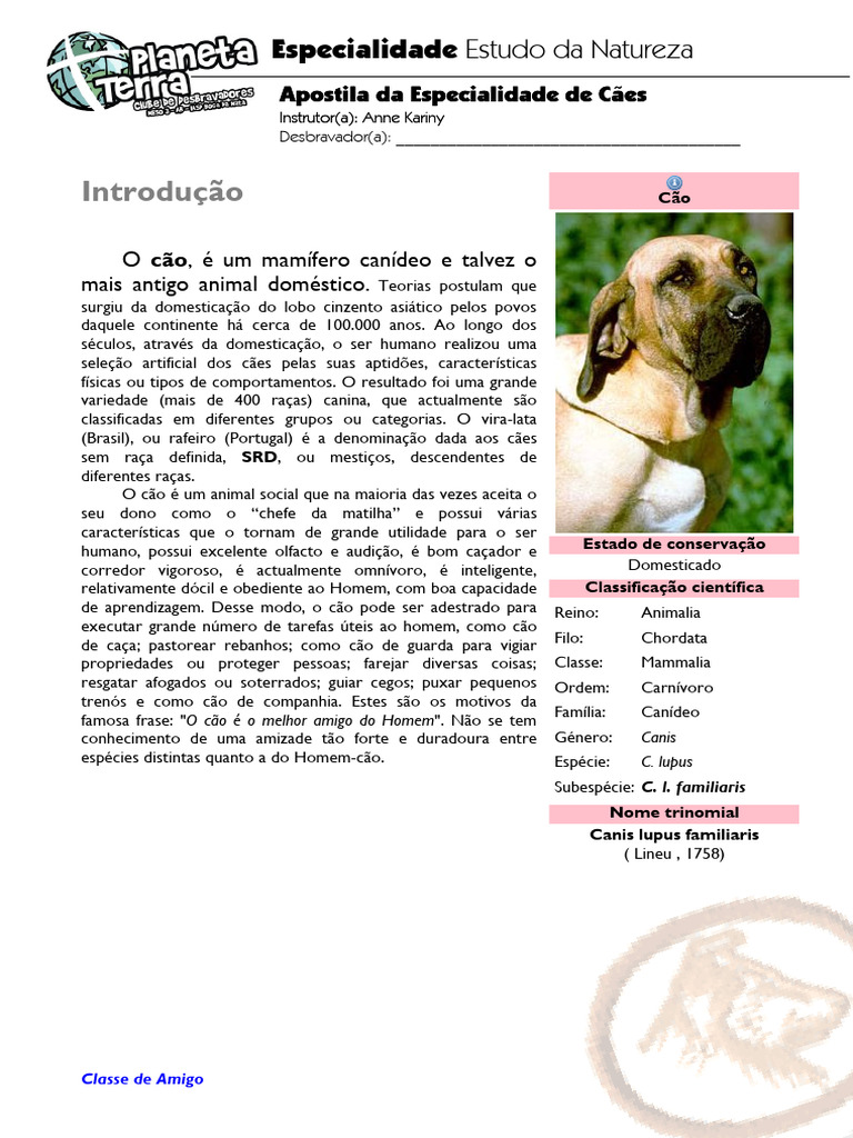 Apostila Caes | PDF | Cães | Humano