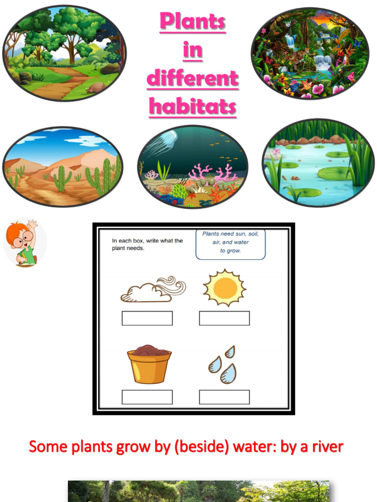 Different Habitats Of Plants