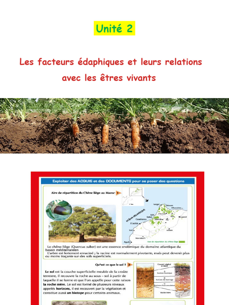 Facteurs édaphiques et répartition des êtres vivants | PDF | Sol ...