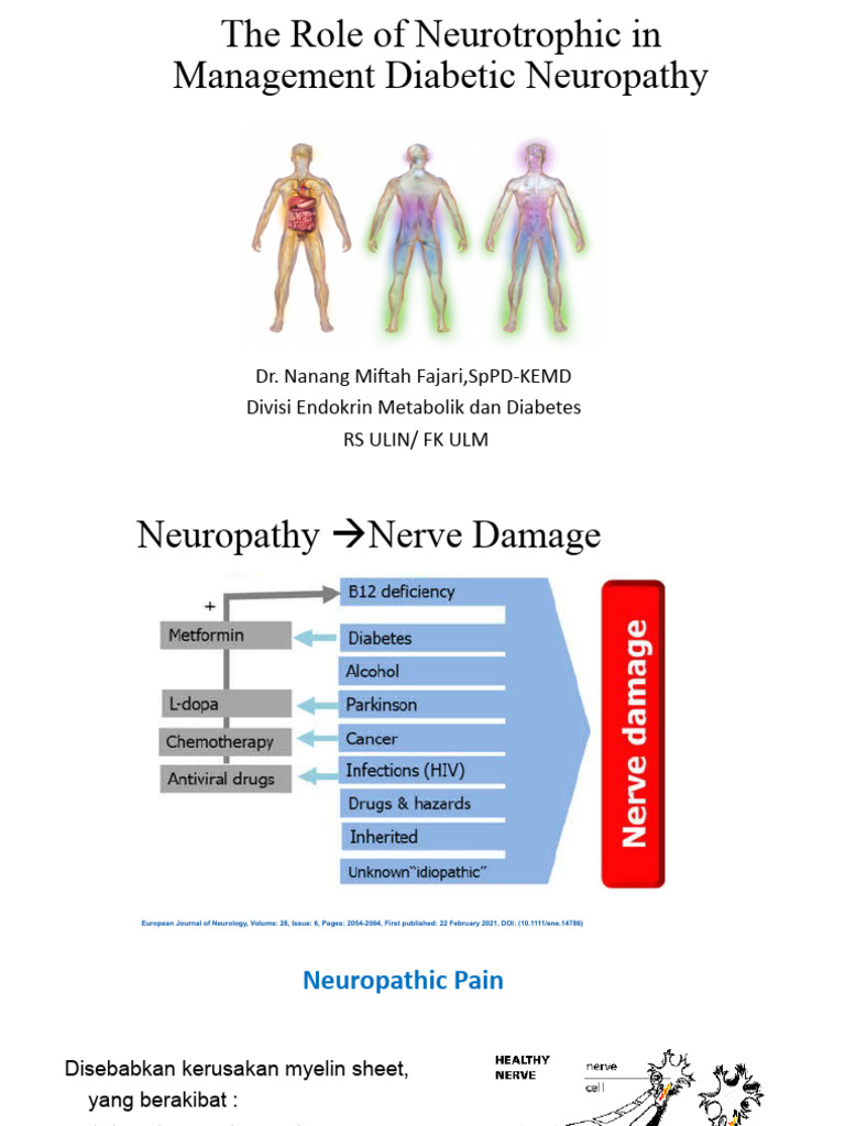 Diabetic Neuropathy | PDF | Peripheral Neuropathy | Visual Cortex