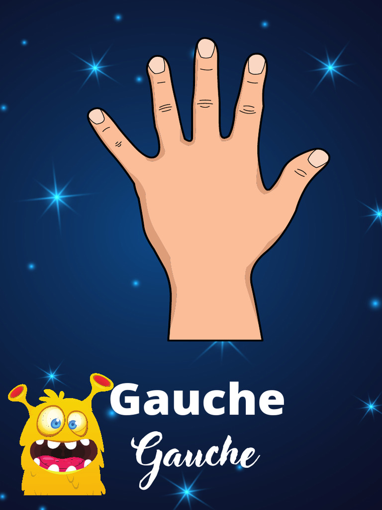 Affichage Gauche Et Droite | PDF